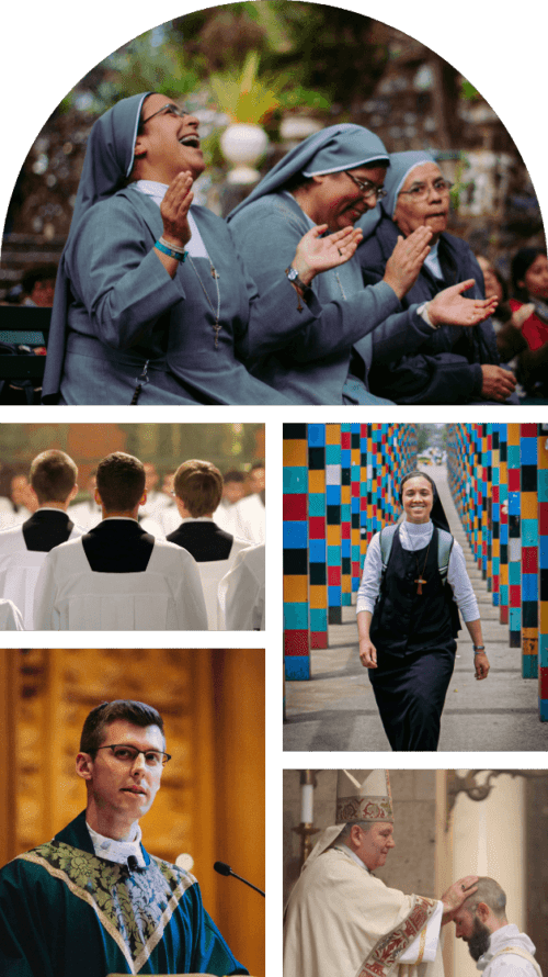 Home - Laboure Society